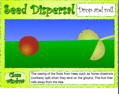 HTS 3rd Grade Technology Blog: Plant Life Cycle