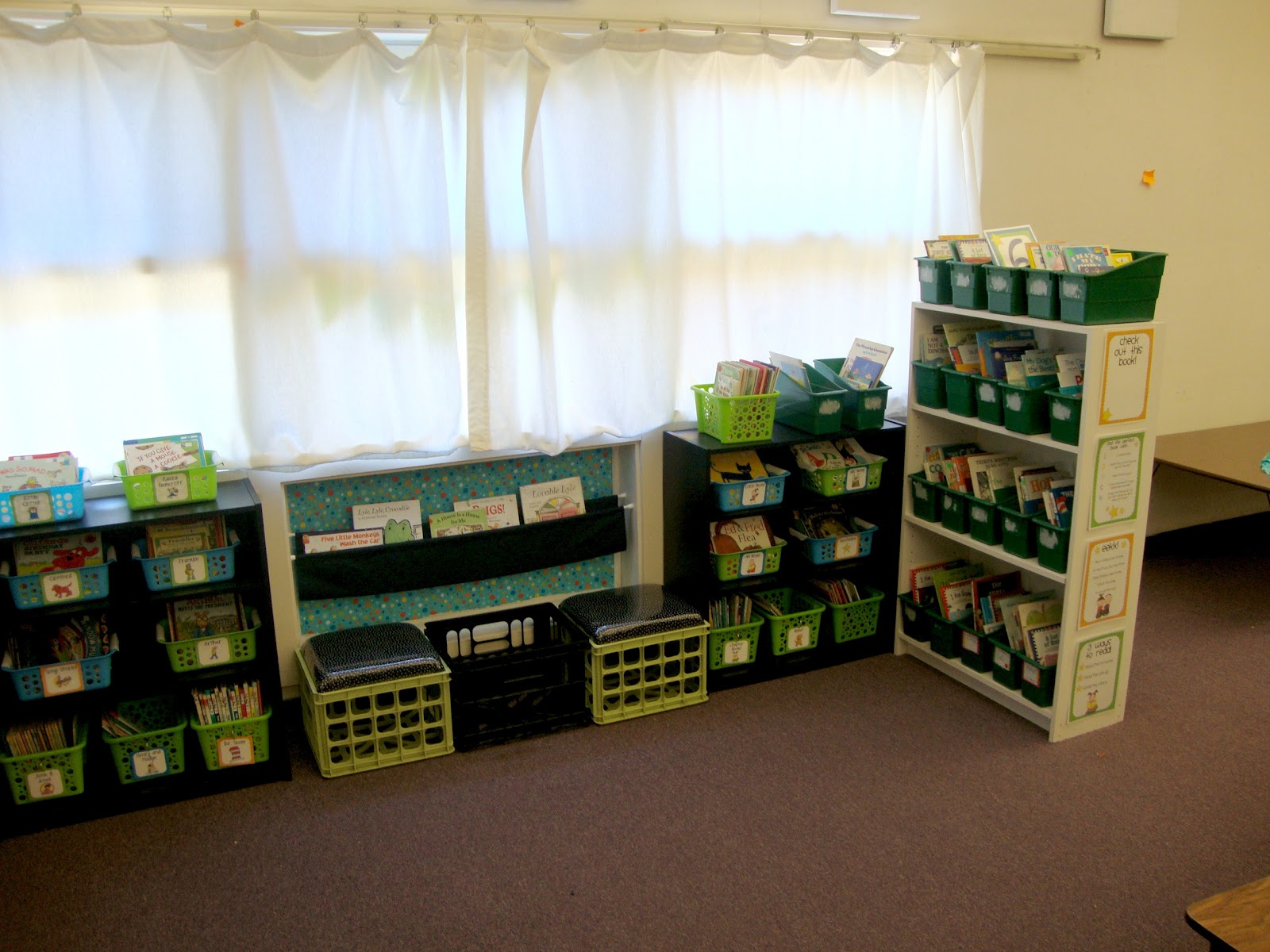 Today In First Grade: Classroom Library Update