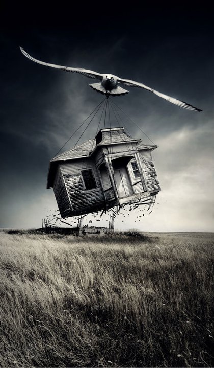 FLYING HOUSE: Flying House Art and Pictures