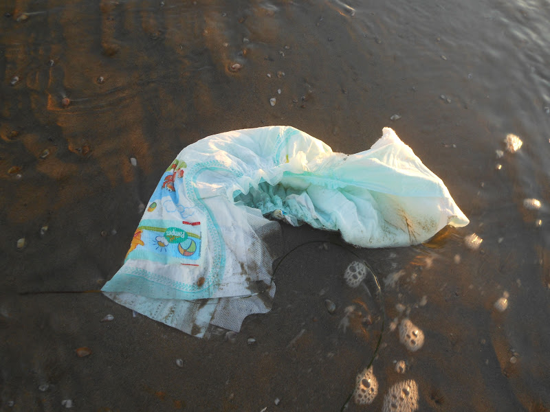 the daily ocean: Day 344 - Oct. 17, 2012