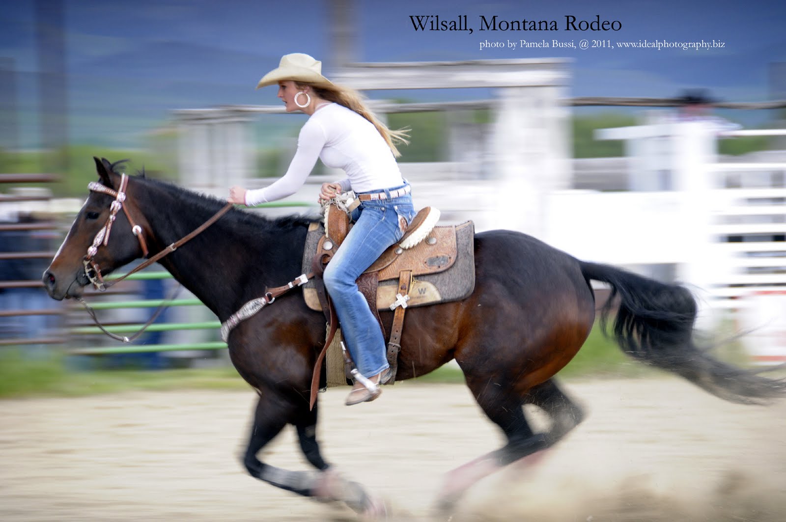 Wilsall Rodeo