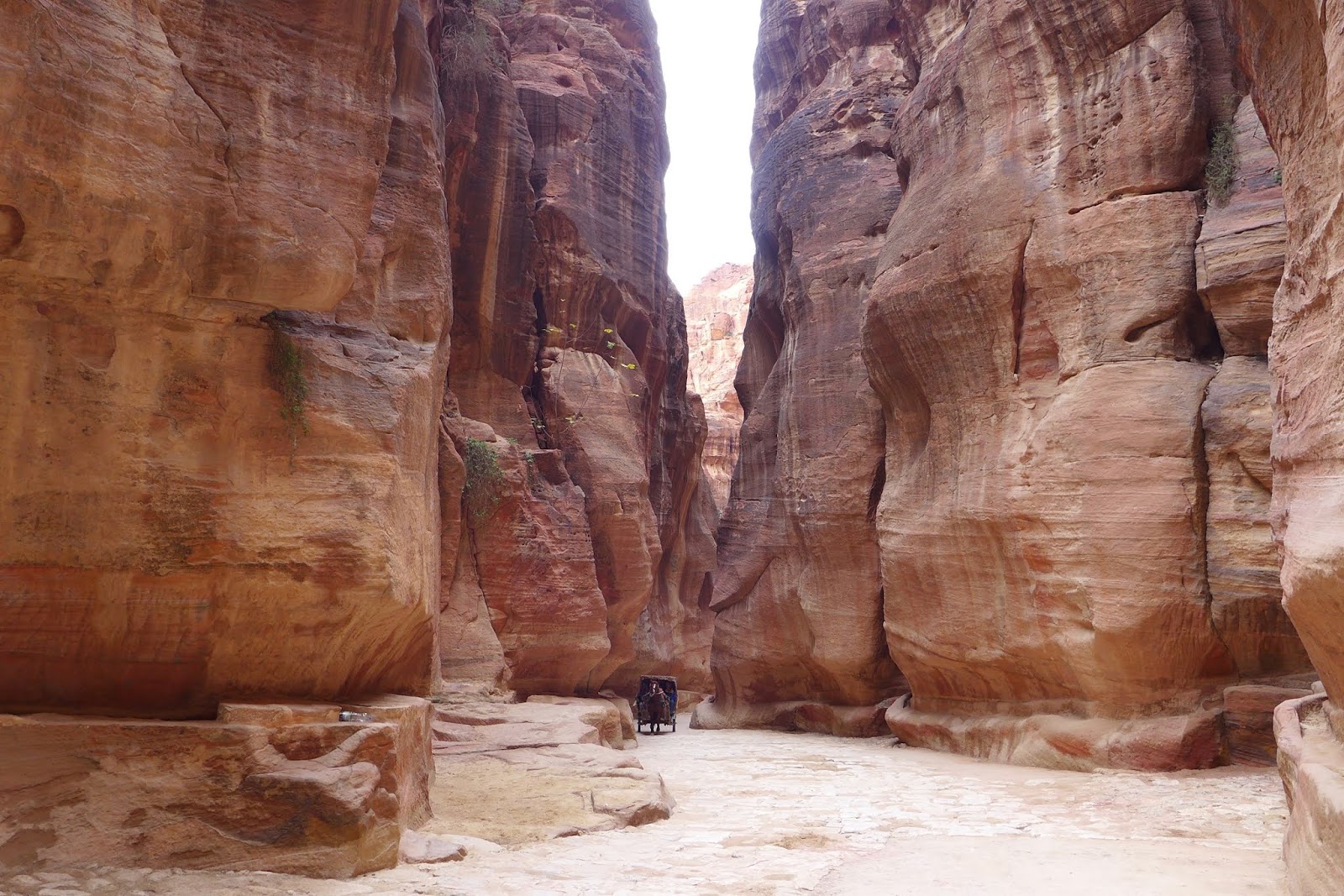 Jeffrey Bale's World of Gardens