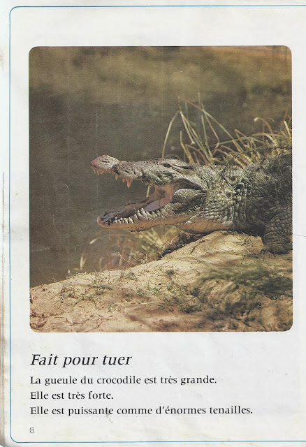 Leçons de choses: Le crocodile