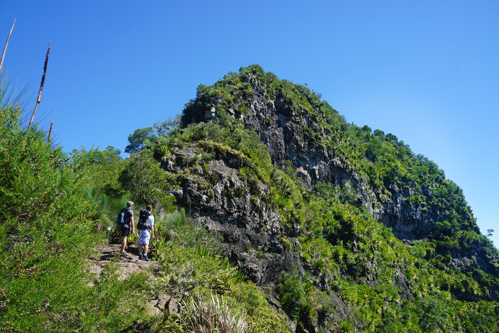 Mt Cordeaux and Bare Rock (Main Range National Park) ~ The Long Way's ...