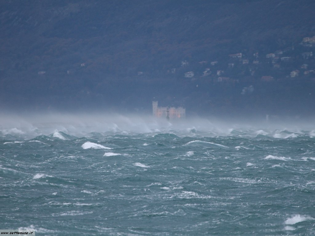 Tra Fiume e Trieste: Il vento di bora, divlji vjetar, vento selvaggio