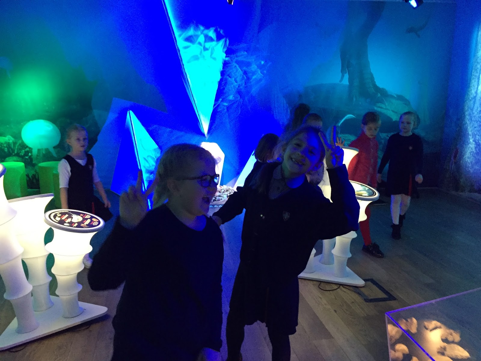 Margiti klassi blogi: Mis meeldis Loodusmuuseumis kõige rohkem?