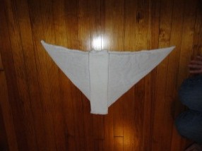 One Step Behind: Flat Origami Fold