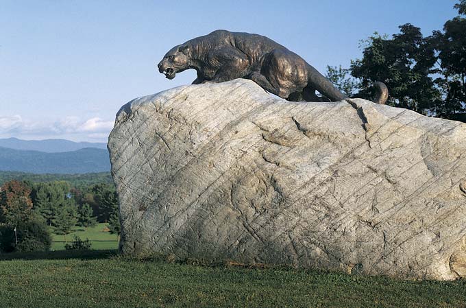 Hockey in the 'Cac.: Who has the best nickname in the NESCAC? A Primer