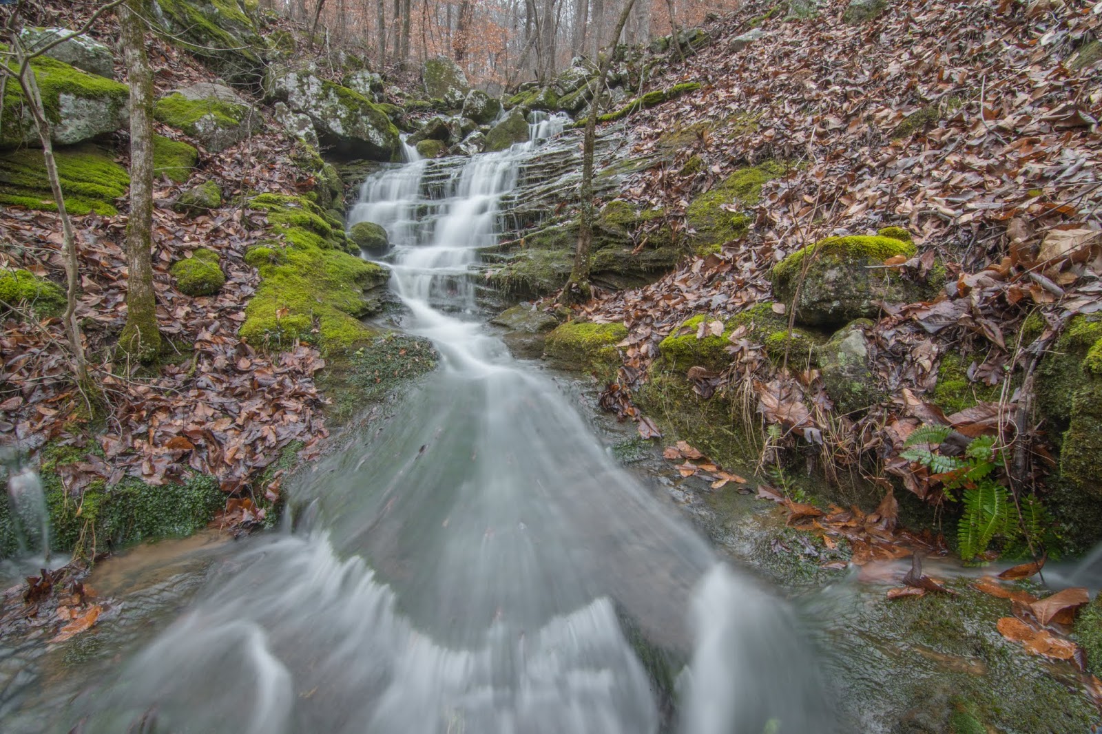 Rick's Hiking Blog: Teapot Hollow waterfalls - concentrated polyfoss ...