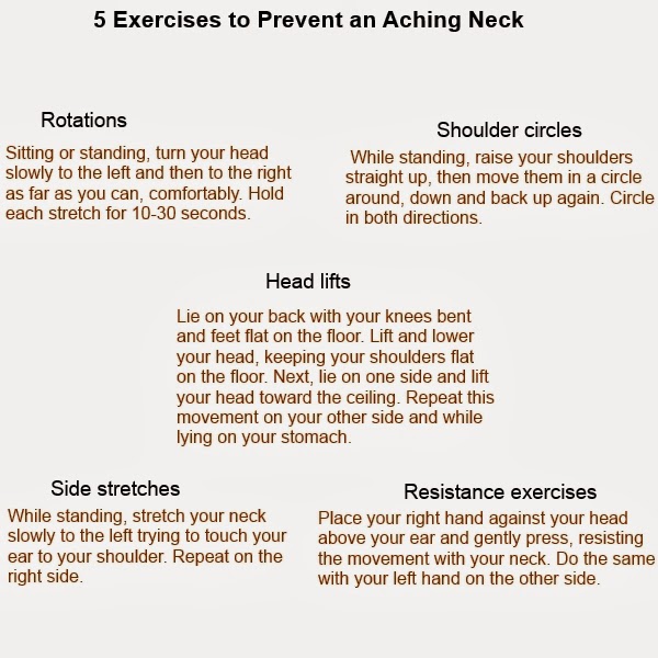 better off: neck muscle anatomy , Here you will find the best