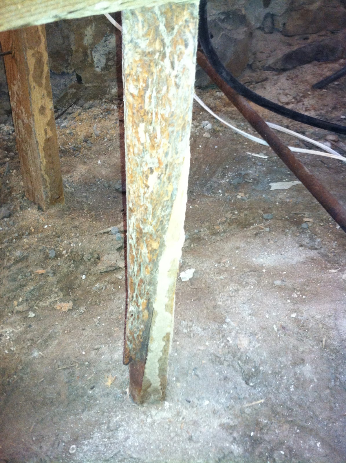 Our Journey to Simplicity: Termites in Utah?