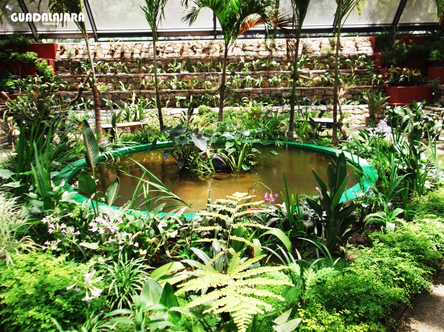 Agencia de Viajes Guadalajara Turística: Parque Agua Azul