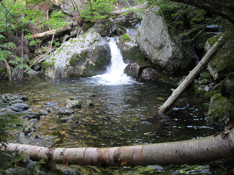 Hiking in the White Mountains: 'The Beasts of the East' ~ Huntington ...
