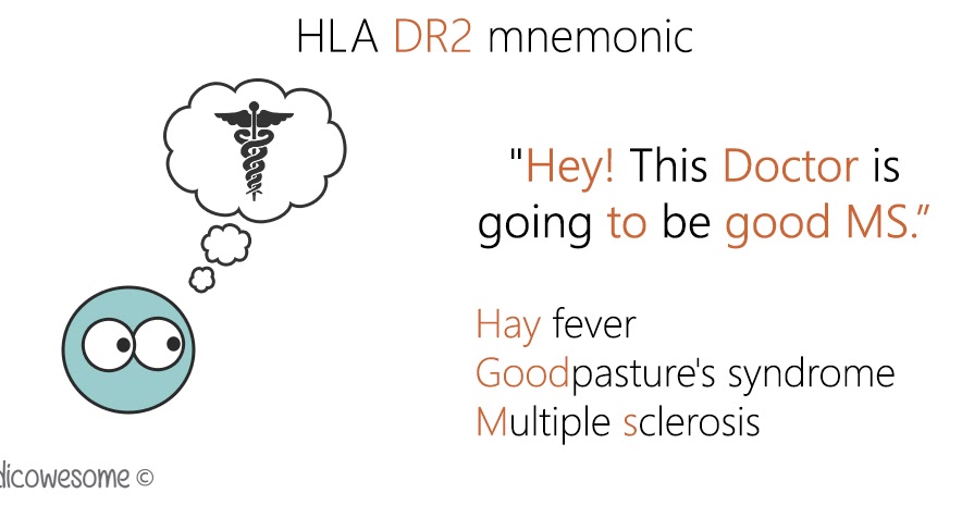Immense Immunology Insight: HLA subtypes associated with diseases