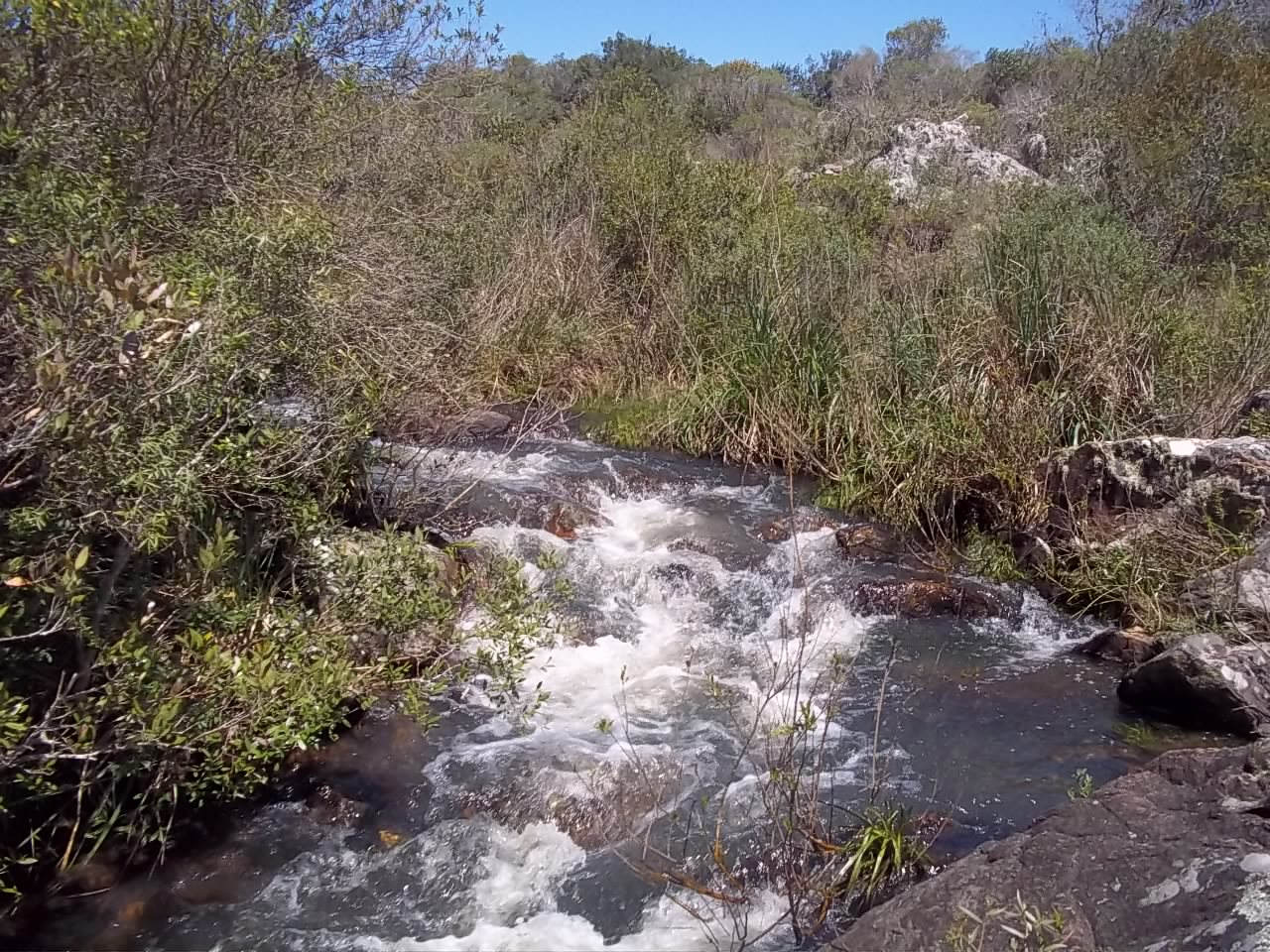 Preservemos el Monte Serrano : Monte Serrano- Minas