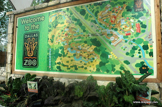 Trip to Dallas Zoo | Filipino Bloggers Worldwide