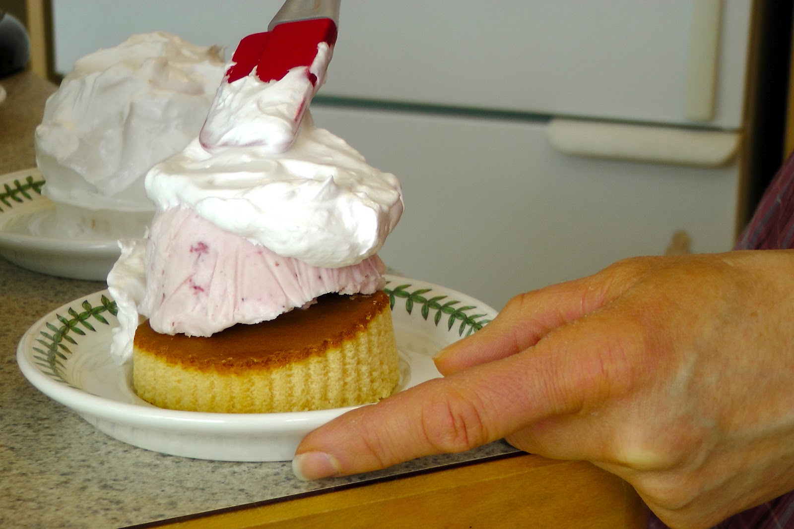 The Baked Alaska Project: Baked Alaska