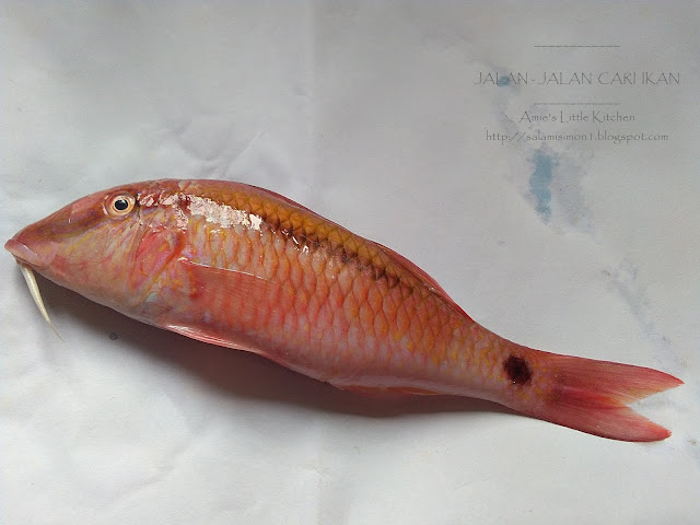 Kenali Pelbagai Jenis Ikan di Pantai Timur Sabah - Amie's Little Kitchen