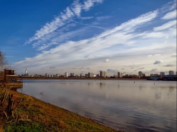 Vinnyman's Birding and Nature Blog.: Edgbaston Reservoir.