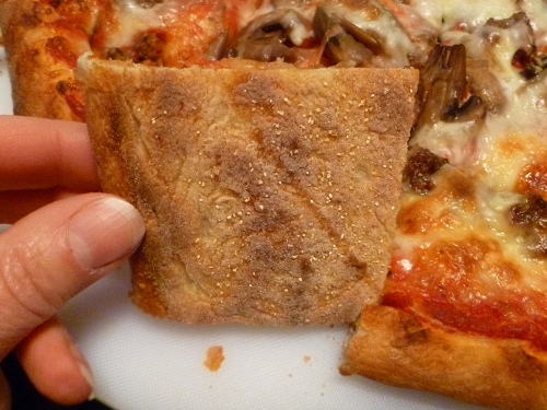 Cookistry: Technique: Cooking Surfaces for Pizza (Part 4)