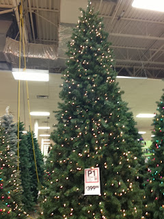 InsaneAboutChristmas: Garden Ridge Christmas