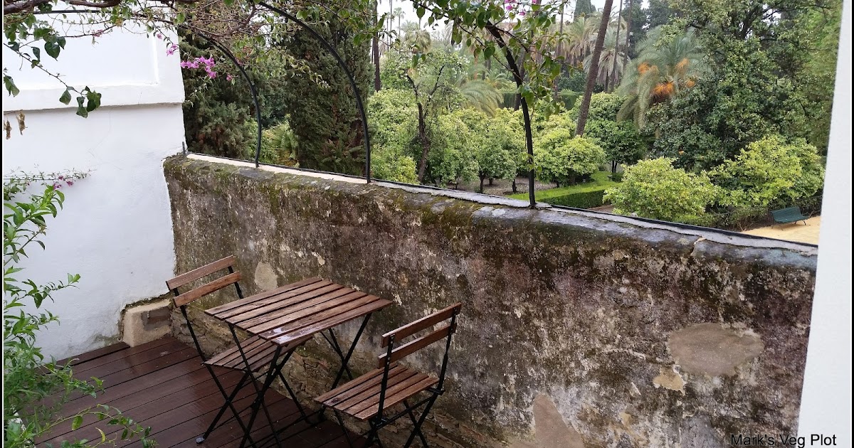 Mark's Veg Plot: A visit to Seville