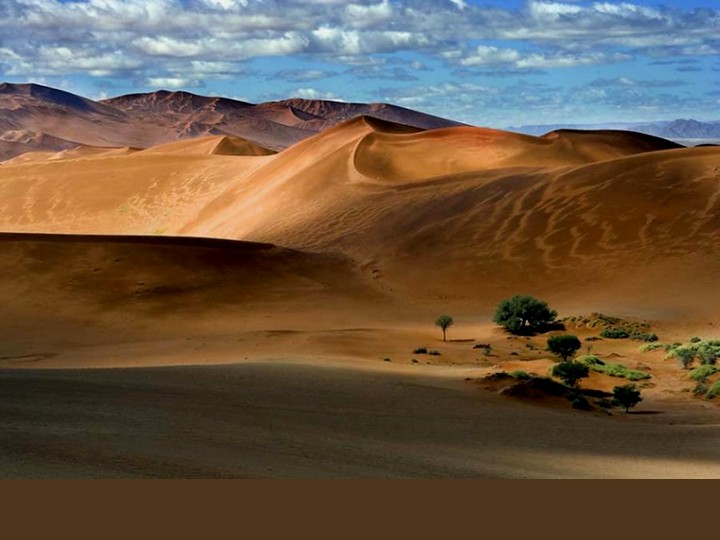 Best WallPapers: Desert Scene Wallpapers