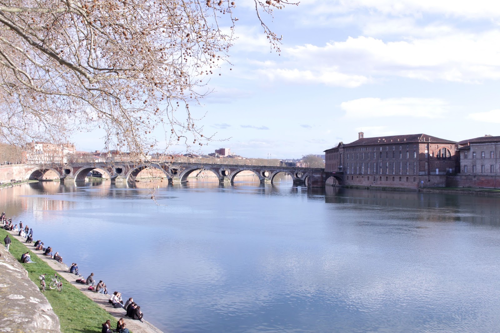 Ô Toulouse - Marshmallowor(l)d