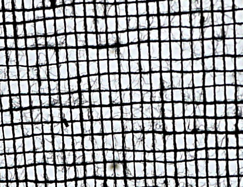 Nahtzugabe. Nähen und DIY in Berlin.: Thema der Stoffspielerei im ...