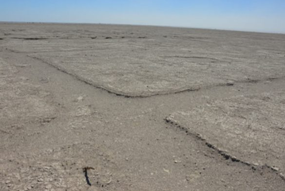 Pampa Iluga: El hallazgo que abrió la prehistoria del norte grande