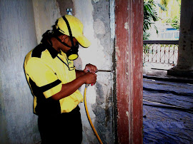 AVISA PEST CONTROL: Hama Utama Serangga