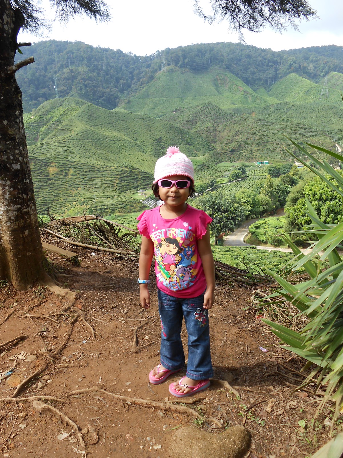 KISAH KAMI: Cameron Highland, Kami Datang Lagi!