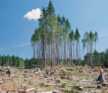 Environment And Human Being: Pakistan: Environmental Issues