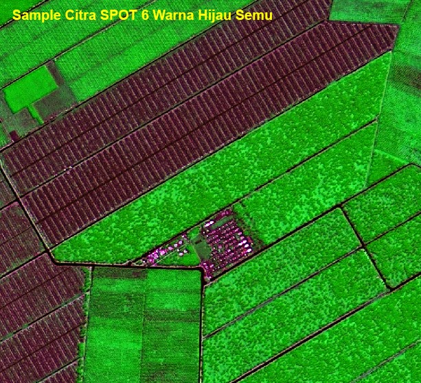 Jual Citra Satelit : Citra Satelit SPOT 6