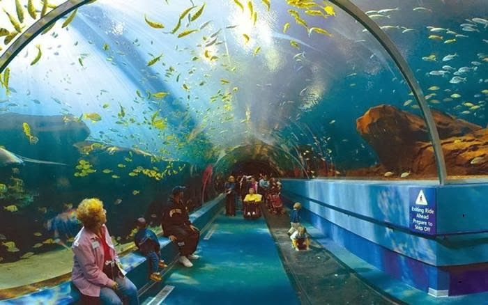 World's most famous Aquariums ~ OurSocialBix