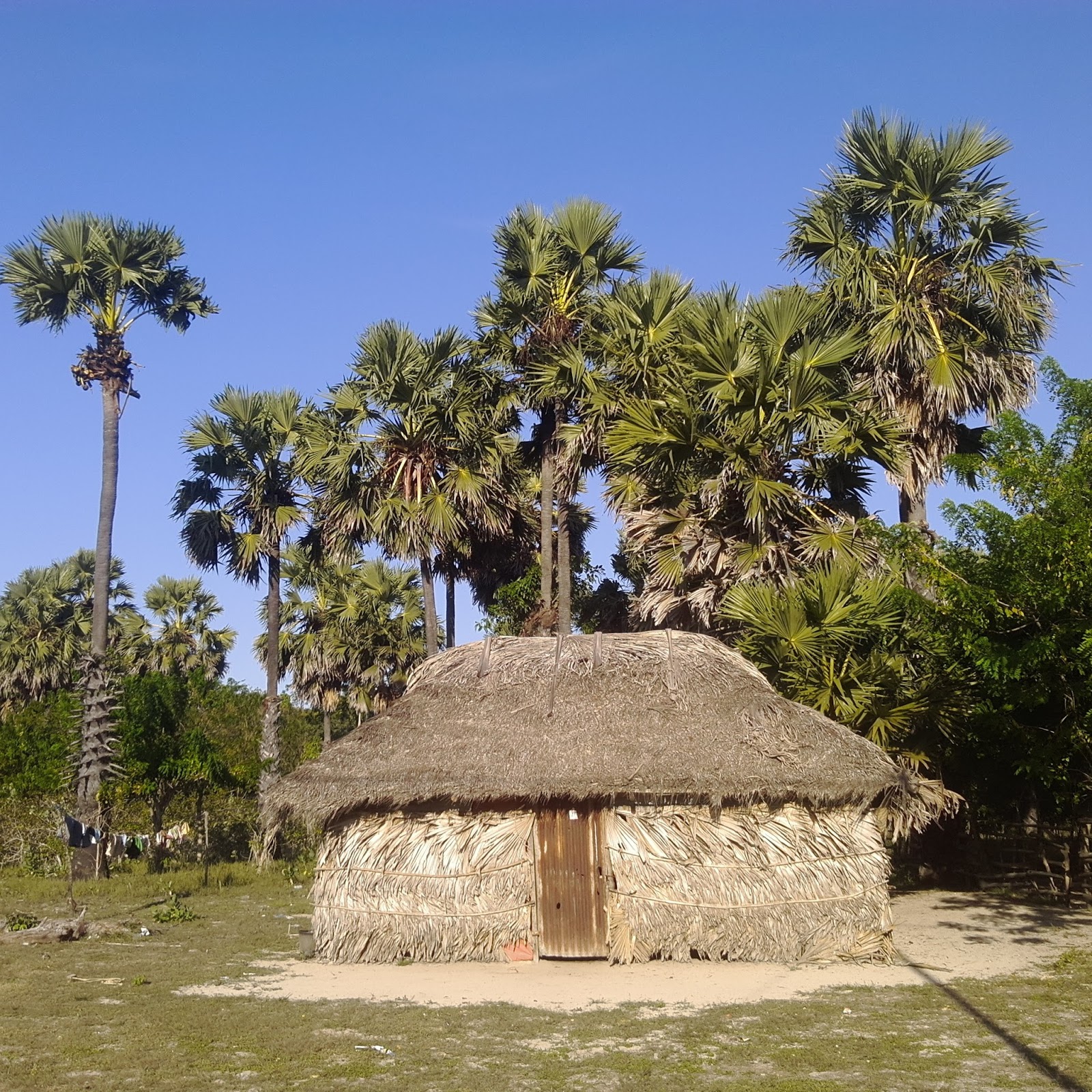Wisata Alam Eksotis Pulau Semau Di NTT | Wisata Pantai di Indonesia Timur