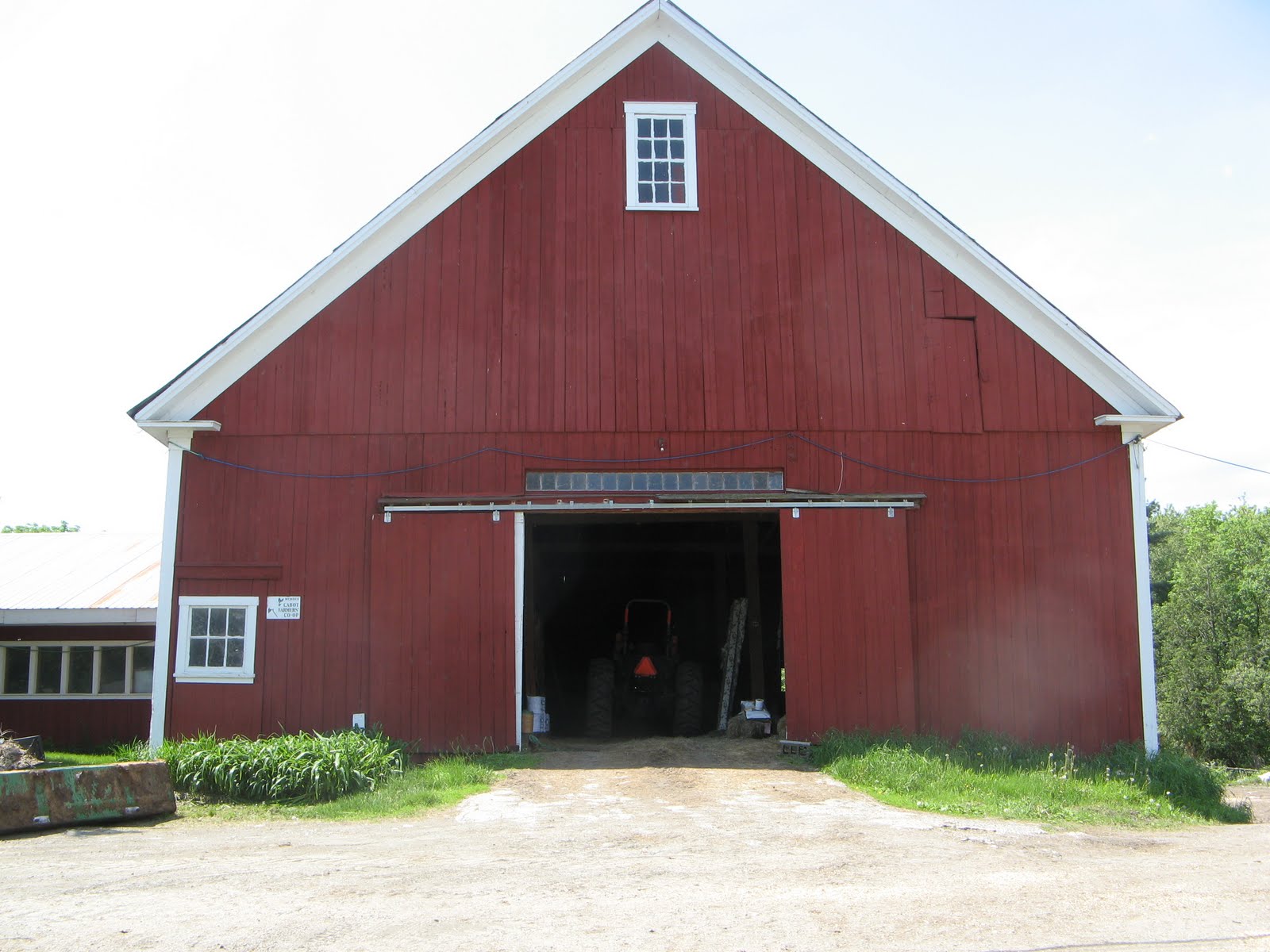 Animal Instinct: Barns of June, 2