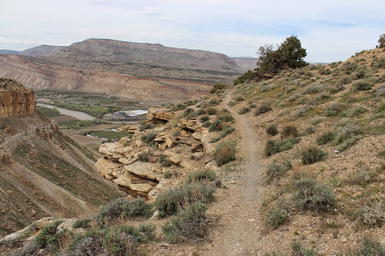 gjhikes.com: Palisade Rim Upper Loop