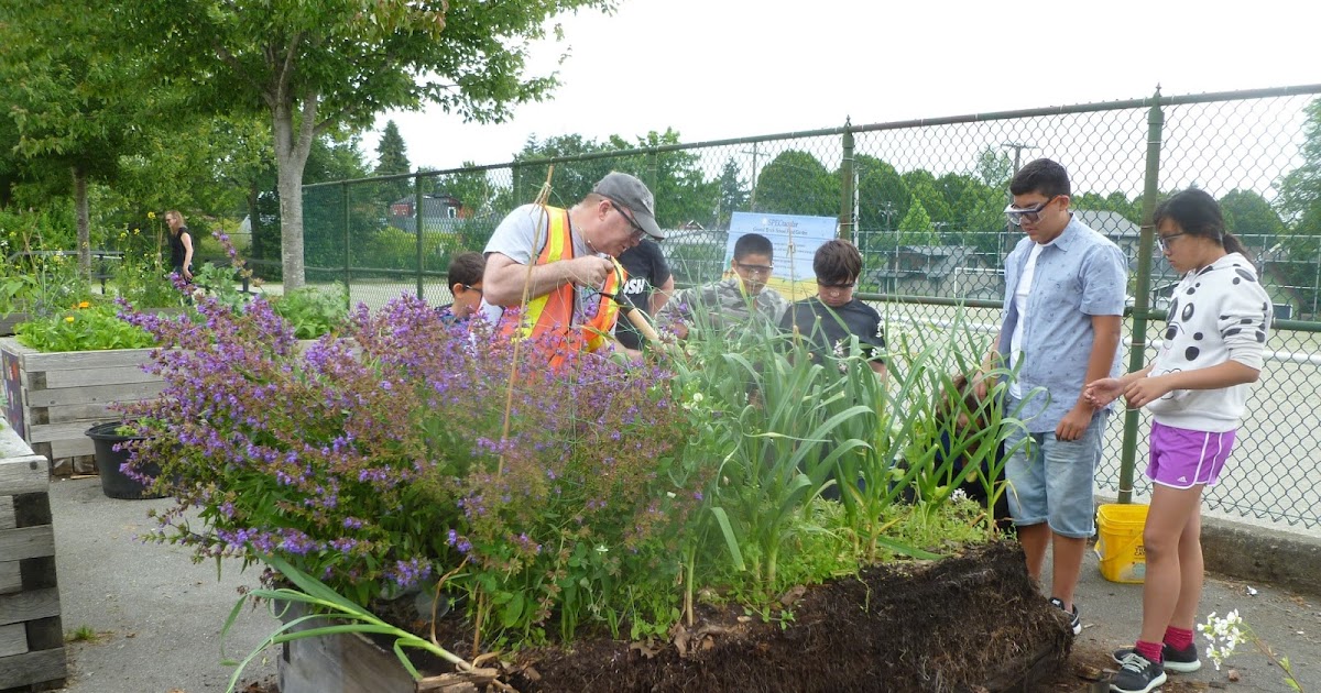 SPEC School Gardens Program