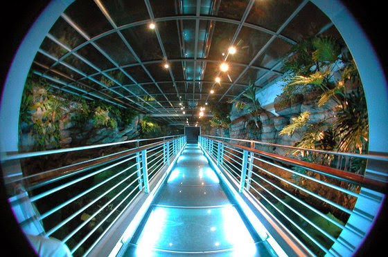 Aquarium of Genoa in Italy ~ Traveling the world