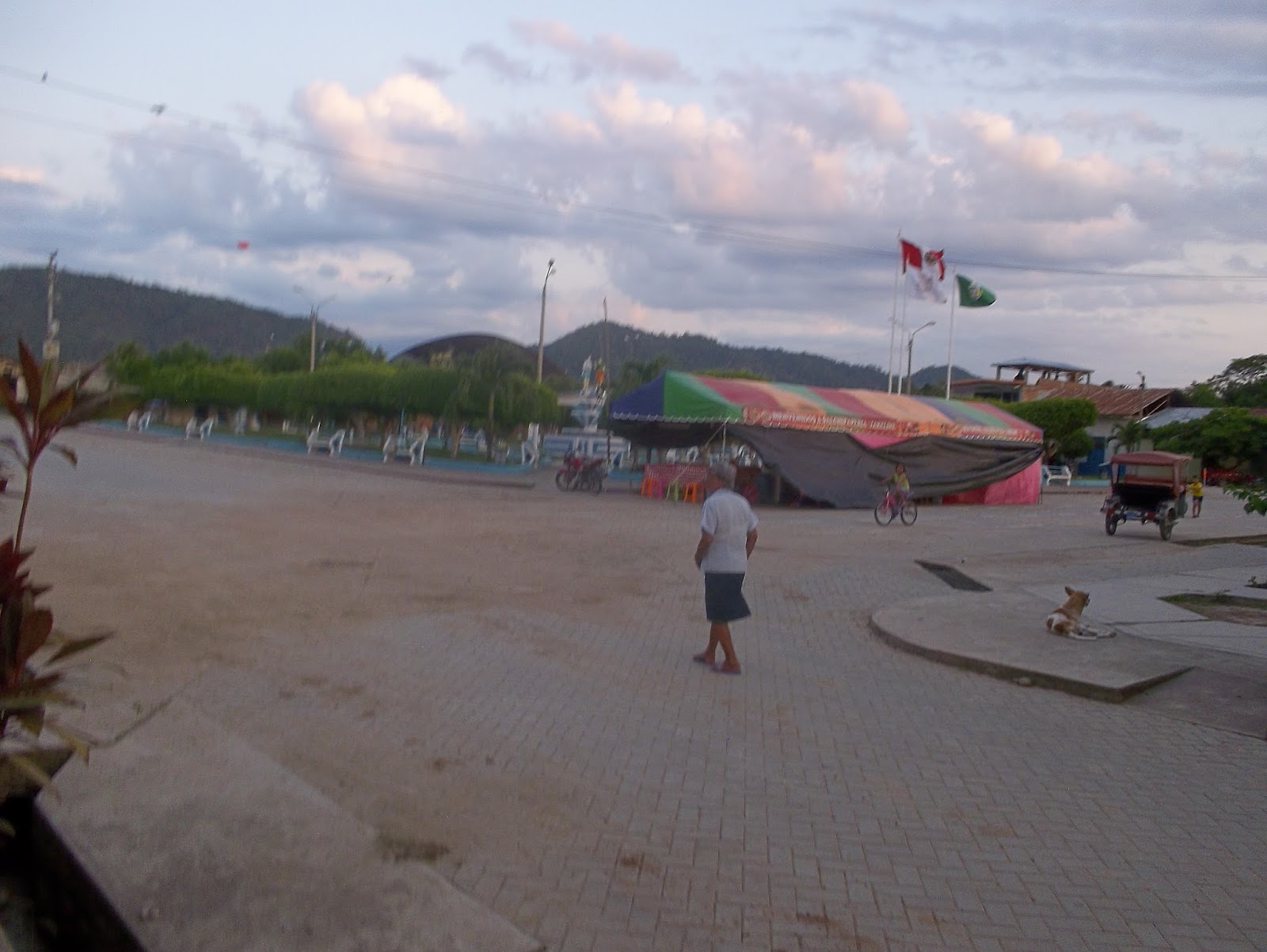 LA PROVINCIA DE HUALLAGA.: Ciudad de Tingo de Saposoa, gran distrito de ...