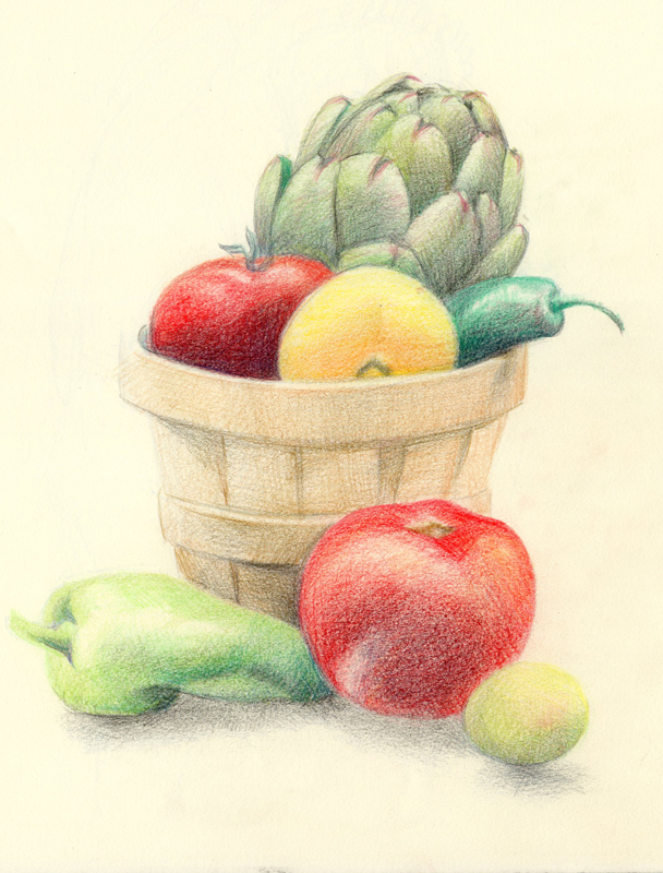 Barbara Fox Art Studio: RANDOM STILL LIFE DRAWINGS