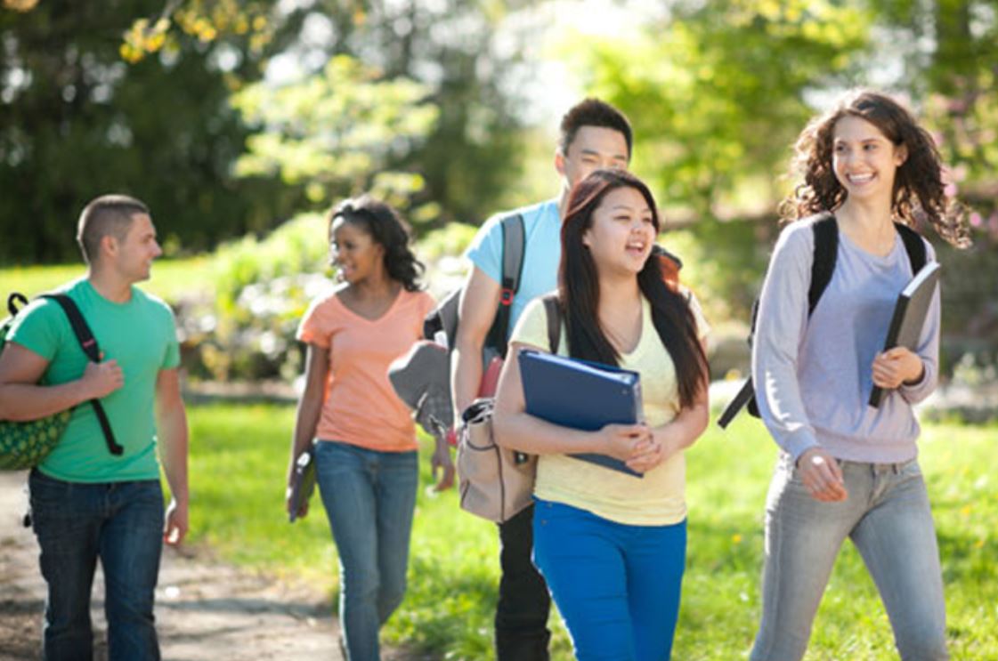 The Characteristics of College | genius education