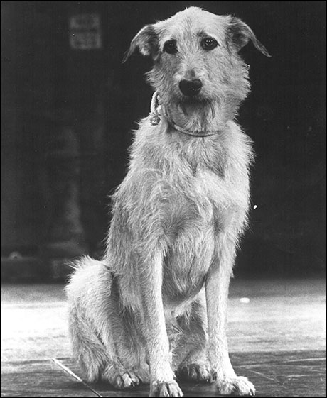 JK's TheatreScene: A Gal Named Sandy