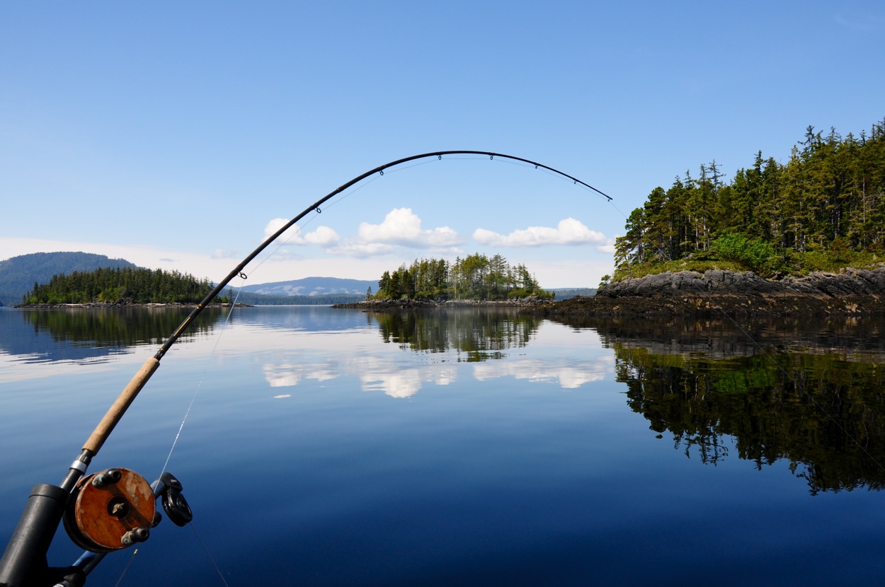 Escott Sportfishing: Sport Fishing and the Art of Relaxation