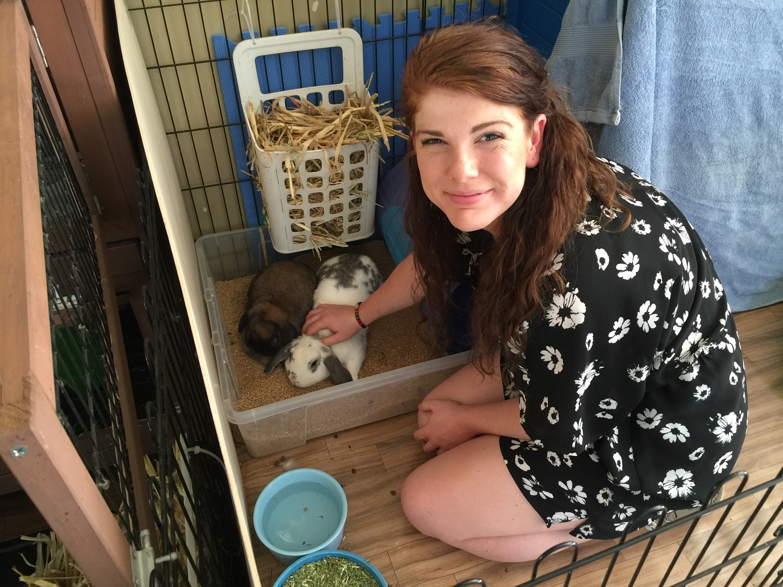 Rabbit Rescue Sanctuary: SYDNEY RABBIT FOSTER CARERS NEEDED
