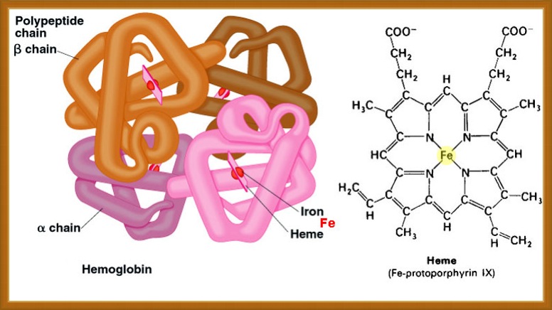 savvy-chemist: Transition metals: Cisplatin, haemoglobin, EDTA.