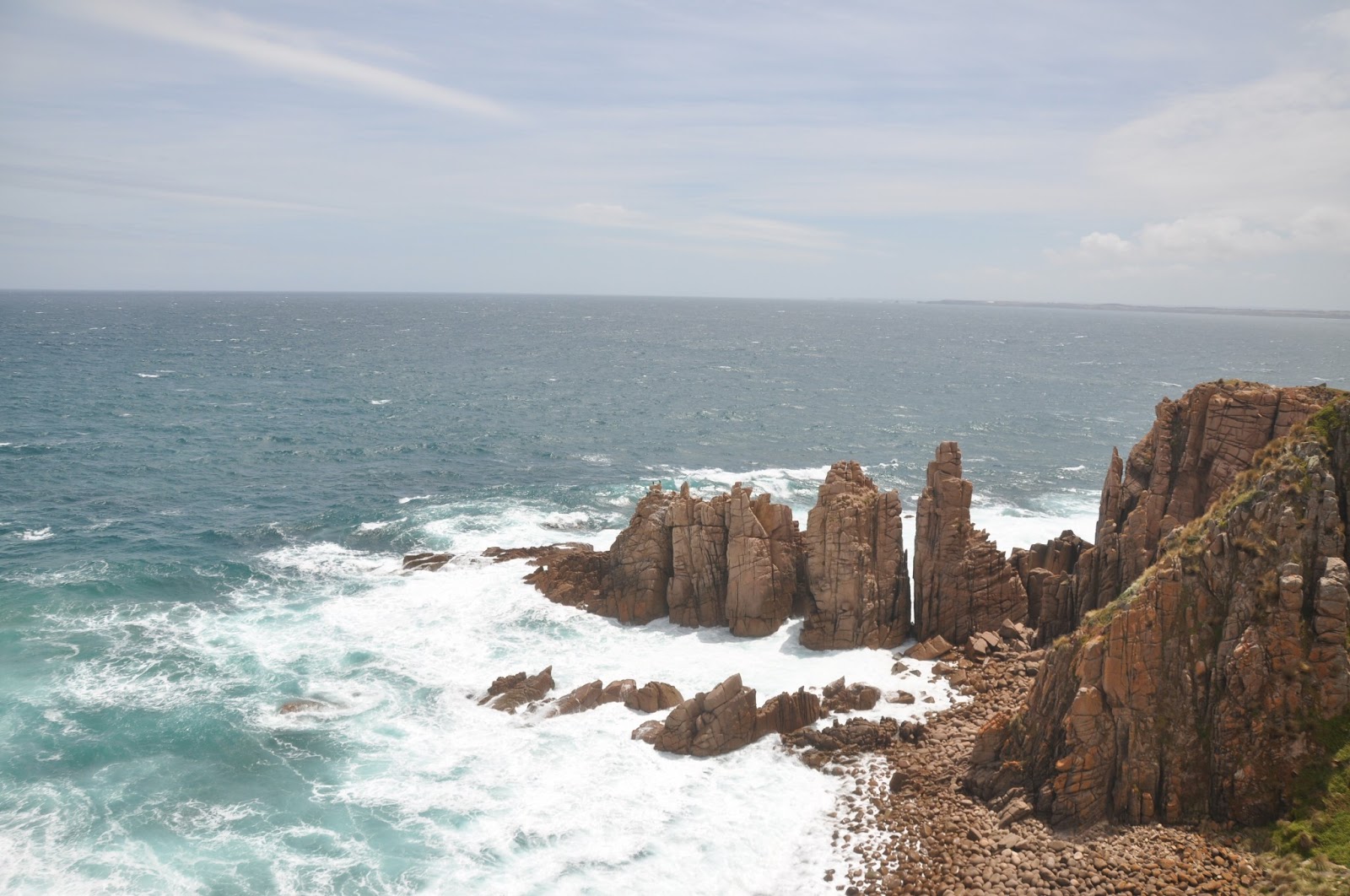 Rodeados de canguros: Phillip Island