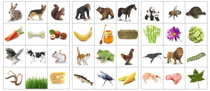 Crapouillotage: JEUX : Qui mange Quoi