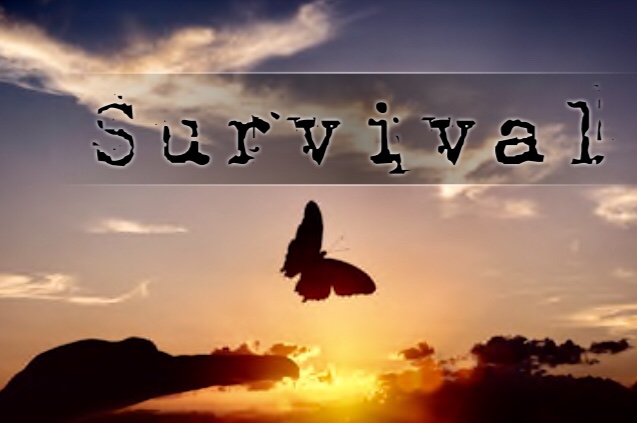 Lovely Views: Survival